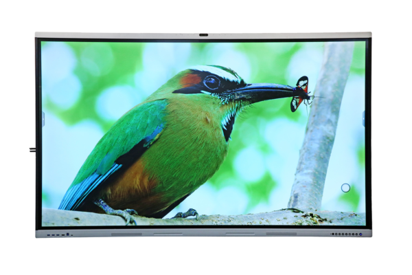 75 Inch Interactive Display丨IFPD Smart Board Solutions